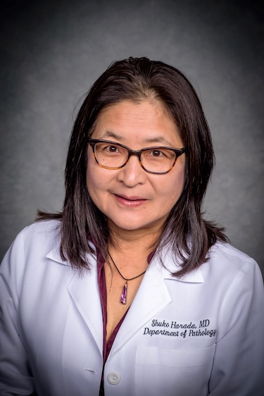 A Message from the President | Association of Clinical Scientists